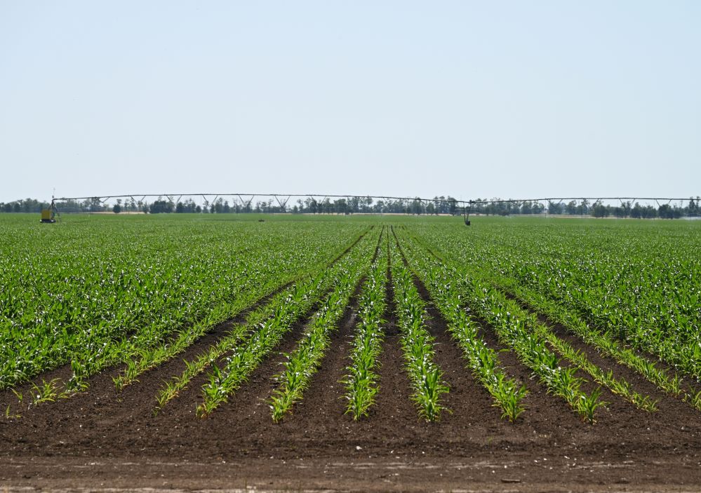 Slovenská poľnohospodárska a potravinárska komora | sppk.sk